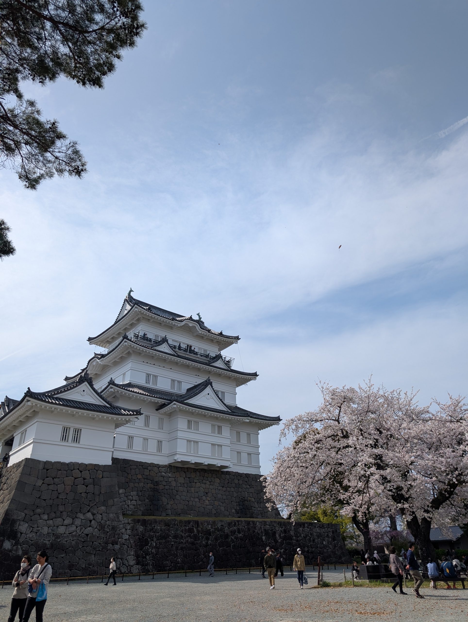 桜🌸 - wave japan（ウェーブジャパン） ～ wave atelier & hair zone wave